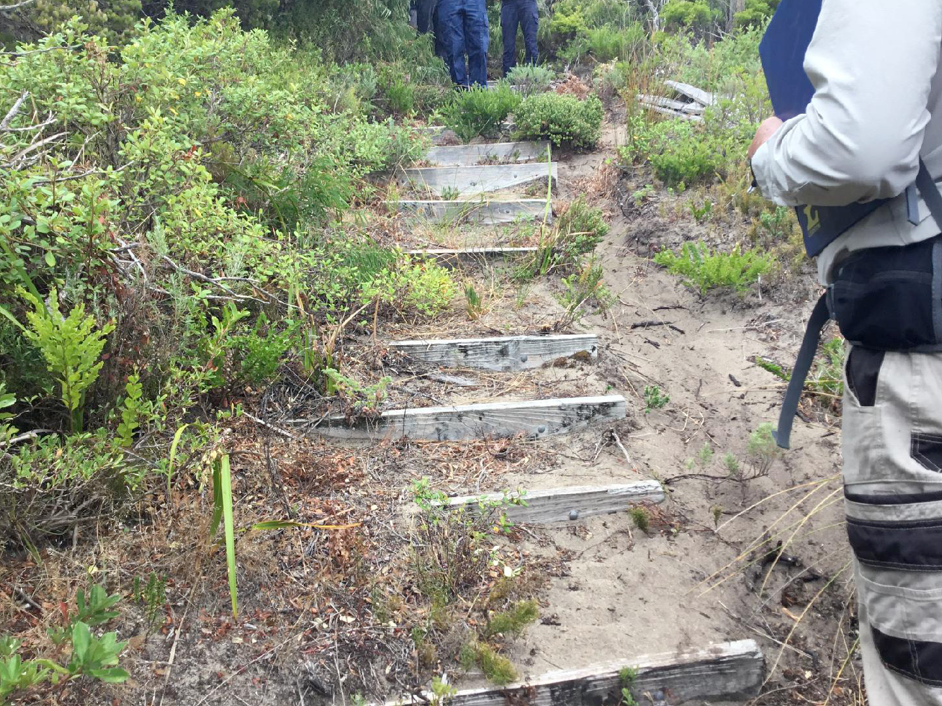 Major Step Restoration Project - Bibbulmun Track Foundation