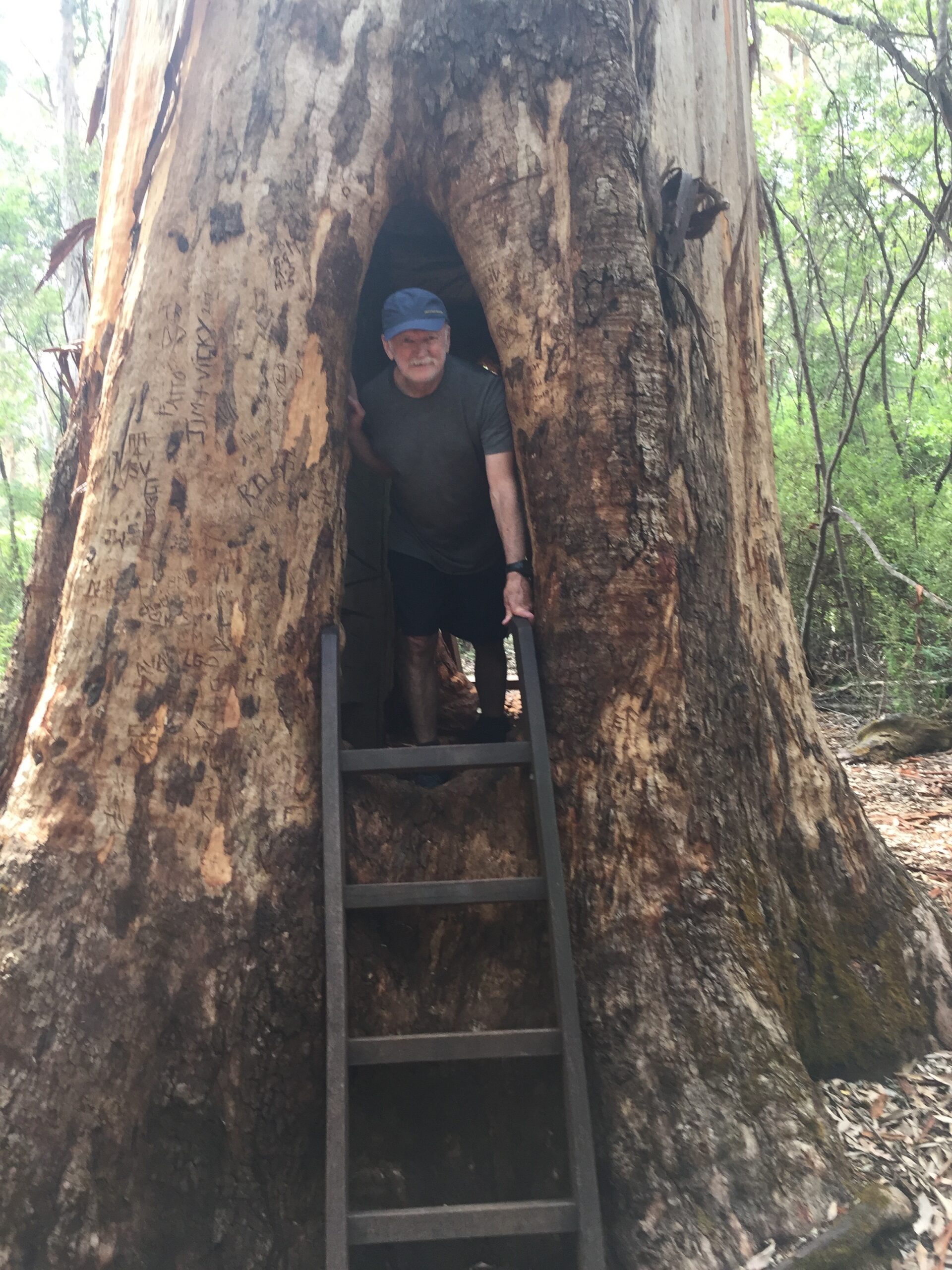 Phillip Freeman - Bibbulmun Track Foundation