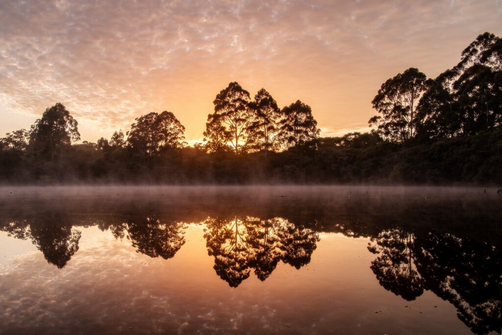Nature Snap: Beginner’s Photography Workshop - Bibbulmun Track Foundation