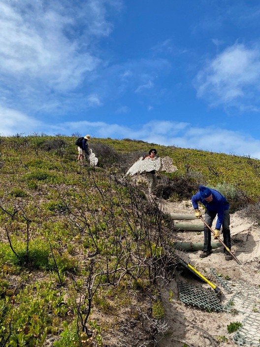 Autumn Track Work Brings New Life to South Coast Trails - Bibbulmun ...