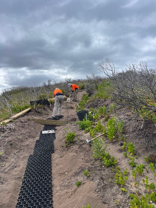 Autumn Track Work Brings New Life to South Coast Trails - Bibbulmun ...