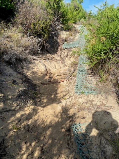 Autumn Track Work Brings New Life to South Coast Trails - Bibbulmun ...