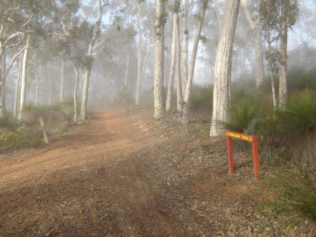 Social Sunday Walk - Perth Hills Discovery Centre to Helena Campsite ...